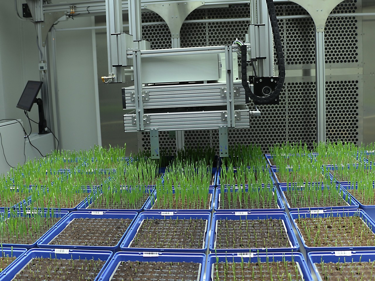 Cooperation between UP and the commercial sphere in the field of plant ...